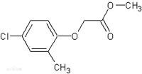 China MCPA 95% Tech 50% SL 20% EC Selective Hormone Herbicide for Wheat Rice Broadleaf Weed Control for sale
