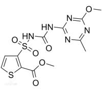 China CAS#: 79277-27-3，Weed Killer，Thifensulfuron-Methyl， for sale