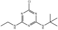 China Terbuthylazine 97% TC Selective Herbicide for Barley Grass and Black Nightshade Control for sale
