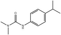 China Isoproturon 95% TC Selective Systemic Herbicide for Wheat Barley Broadleaf Weed Control for sale
