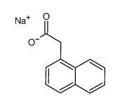 China Sodium Naphthalene-1-acetate 98% TC Plant Growth Regulator for Agriculture Use for sale