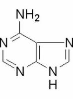 China Adenine 98% TC Plant Growth Regulator Low Toxicity CAS 73-24-5 25kg Drum for sale
