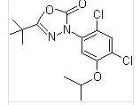 China Oxadiazon Selective Weed Killer , Weed Control Concentrate Pre Emergence Control for sale