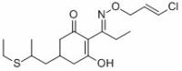 China 240 G/L Clethodim EC Herbicide for Soybean Field Annual Grass Weed Control 20-30 Ml per Acre for sale