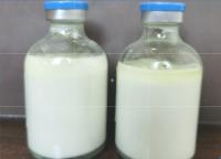 China Albendazole Oxyclozanide Oral Suspension 60mg 30ml Veterinary Dewormer for Cattle Sheep Goats Pigs for sale