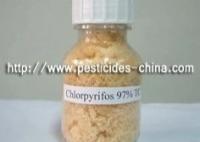 China Chlorpyrifos 97% TC 48% EC Insecticide CAS 2921-88-2 Broad Spectrum Pesticide for sale