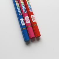 China Profession Customize Colorful Artist Pastel Woodless Color Pencils for sale