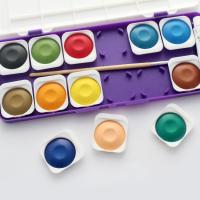 China 30mm Art Painting Wholesale 12 Color Watercolor Paint Set Professional for sale