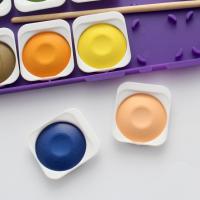 China 30mm Art Painting Wholesale 12 Color Watercolor Paint Set Professional for sale
