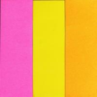 China Colorful bookmark different shapes removable PET self-adhesive message notes for sale