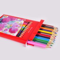 China wholesale 12pcs vivid colorful kids color jumbo pencil for sale