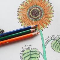 China Wholesale High Quality Promotional Branded Colorful Drawing Artist Multi Color Pencils for sale