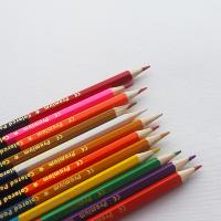 China Custom Diy Artist Colorful Set Of 24 Multi Long Colored Pencils Set for sale