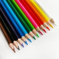 China High Quality 7 Inch 12PCS Colored Long Students Painting Wood Triangle Color Pencil for sale