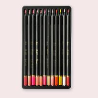 China Reliable Quality Wholesale 12 Pcs Multicolor Metal Box Wooden Color Pencil Set For Kids Drawing for sale