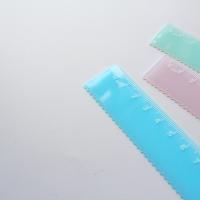 China New Design Portable Wholesale High Quality School Office Custom Plastic Ruler for sale