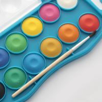 China 21mm wholesale 12 color watercolor paint with brush for sale