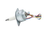 China 25mm Linear Actuator Stepper Motor with 22mm Push Distance and 500+ pps Start Frequency for Automation for sale