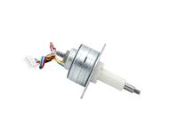 China 25mm Linear Actuator Stepper Motor with 22mm Push Distance and 500+ pps Start Frequency for Automation for sale