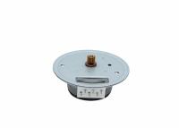 China 12V DC PM Stepper Motor 25mm 7.5° Step Angle for Valve Control with High Speed Low Noise Operation for sale