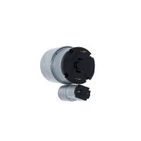 China 6V 12V 24V DC Worm Gear Motor High Torque 12000RPM with 33mm Gearbox for Massage Equipment for sale