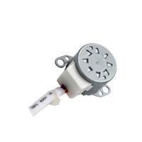 China 24mm High Torque Permanent Magnet Stepper Motor 12V 5.625° Step Angle for Home Appliances for sale