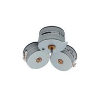 China Low Noise Micro Step Stepper Motor 2 Phase For Machining Tools 24V 15 Degree for sale