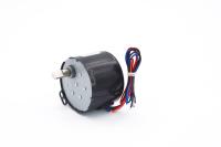 China 50mm 3-Phase Synchronous Motor 1500/1800 RPM IP55 TEFC Enclosure for Industrial Automation for sale