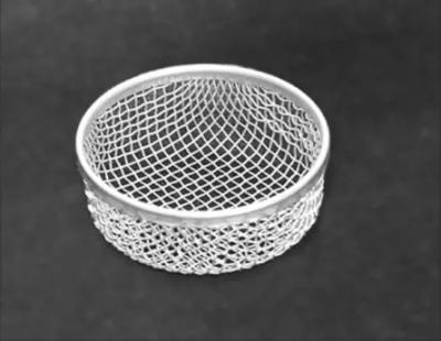 China Stainless Steel Stamping Mesh Screen Filter Bowl With Edge for sale