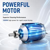 China Best Sell 380MM Cleaning Width Carpet Cleaning Machine Applicable to Large Area Cleaning of the Enterprise for sale