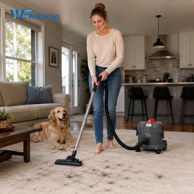 China Convenient Commercial Vertical Vacuum Cleaner Special Silent Vacuum Cleaner for Hotel for sale