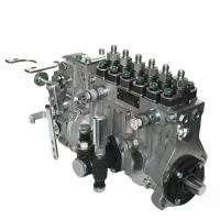 China Spot Goods Fuel Injection Pump 13067688 B6PN539H2 BH6PN120R for WEICHAI WP6B Diesel Engine Spare Parts Construction Machinery for sale