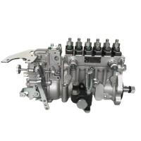 China Spot Goods Fuel Injection Pump 13067688 B6PN539H2 BH6PN120R for WEICHAI WP6B Diesel Engine Spare Parts Construction Machinery for sale