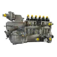 China Spot Good Fuel Injection Pump 1001671519 for WEICHAI WP12.430E201 Diesel Engine Spare Parts Construction Machinery for Excavator for sale