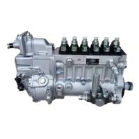 China Spot Good Fuel Injection Pump 1001671519 for WEICHAI WP12.430E201 Diesel Engine Spare Parts Construction Machinery for Excavator for sale