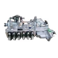 China Spot Good Fuel Injection Pump 1001671519 for WEICHAI WP12.430E201 Diesel Engine Spare Parts Construction Machinery for Excavator for sale