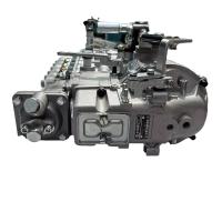 China Spot Goods Fuel Injection Pump 612601080138 BHT6P120R for WEICHAI WD615.67 Diesel Engine Spare Parts Construction Machinery for sale