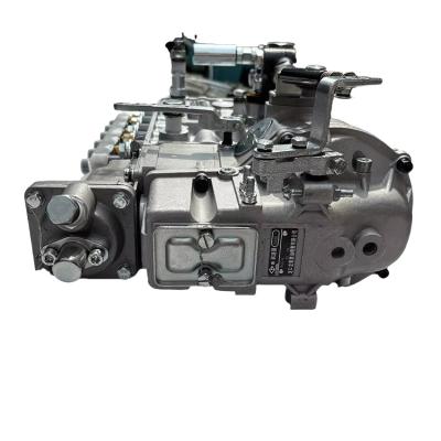 China Spot Goods Fuel Injection Pump 612601080138 BHT6P120R for WEICHAI WD615.67 Diesel Engine Spare Parts Construction Machinery for sale