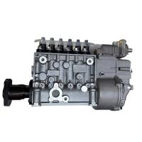China Spot Goods Fuel Injection Pump 612601080138 BHT6P120R for WEICHAI WD615.67 Diesel Engine Spare Parts Construction Machinery for sale