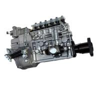 China Spot Goods Fuel Injection Pump 612601080138 BHT6P120R for WEICHAI WD615.67 Diesel Engine Spare Parts Construction Machinery for sale