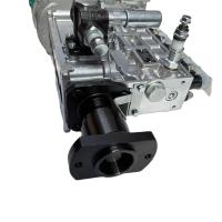 China Spot Goods Fuel Injection Pump 612601080138 BHT6P120R for WEICHAI WD615.67 Diesel Engine Spare Parts Construction Machinery for sale