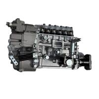 China Spot Goods Fuel Injection Pump 612601080138 BHT6P120R for WEICHAI WD615.67 Diesel Engine Spare Parts Construction Machinery for sale