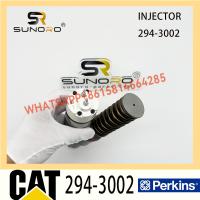 China Diesel Fuel Common Rail Injector 294-3002 10R-6162 For C13 Common Rail 10R6162 for sale