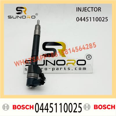 China Diesel Common Rail Injector 0445110024 0445110025 0986435029 098643502 A6110700687for Mercedes-Benz 2.0CDi/2.2CDi/2.7CDi for sale
