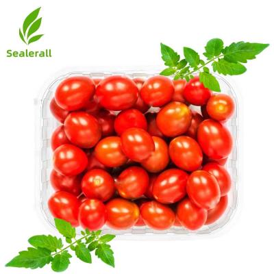 China Sealerall MAP Tray Sealer For Small Tomatoes 10-12 Pack Trays PLC Control for sale