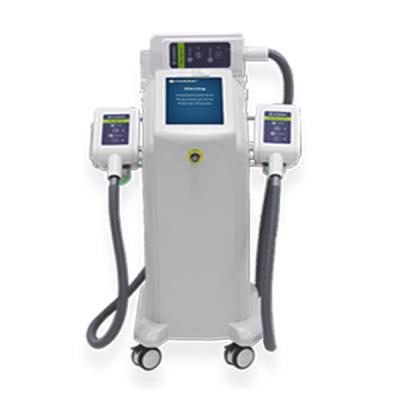 China 30kg Cryolipolysis Fat Freeze Slimming Machine For Woman Legs / Hips for sale