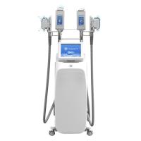 China Male Chin / hest Cryo Weight Loss Machine , Cryolipolysis Beauty Machine for sale