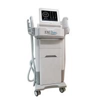 China 110V 220V Electrical Muscle Stimulation Machine 74KG CE Approved for sale