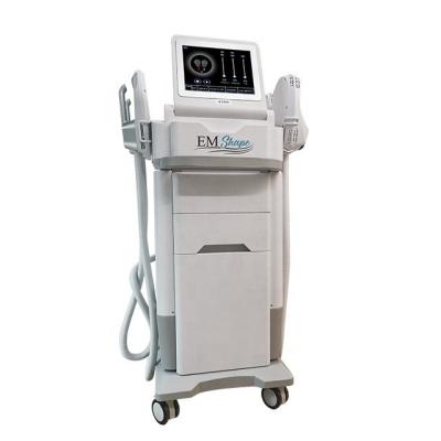 China 110V 220V Electrical Muscle Stimulation Machine 74KG CE Approved for sale