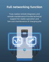 China 60kW 120kW 160kW 240kW Floor-mounted CCS1 CCS2 Commercial DC Ev Charger Station OCPP1.6J APP Electric Car Charger for sale